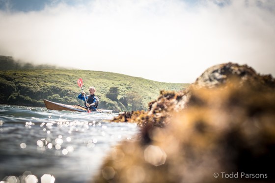 Pt. Reyes Kayaking Trip – Adventure in My Own Backyard | TODD PARSONS ...